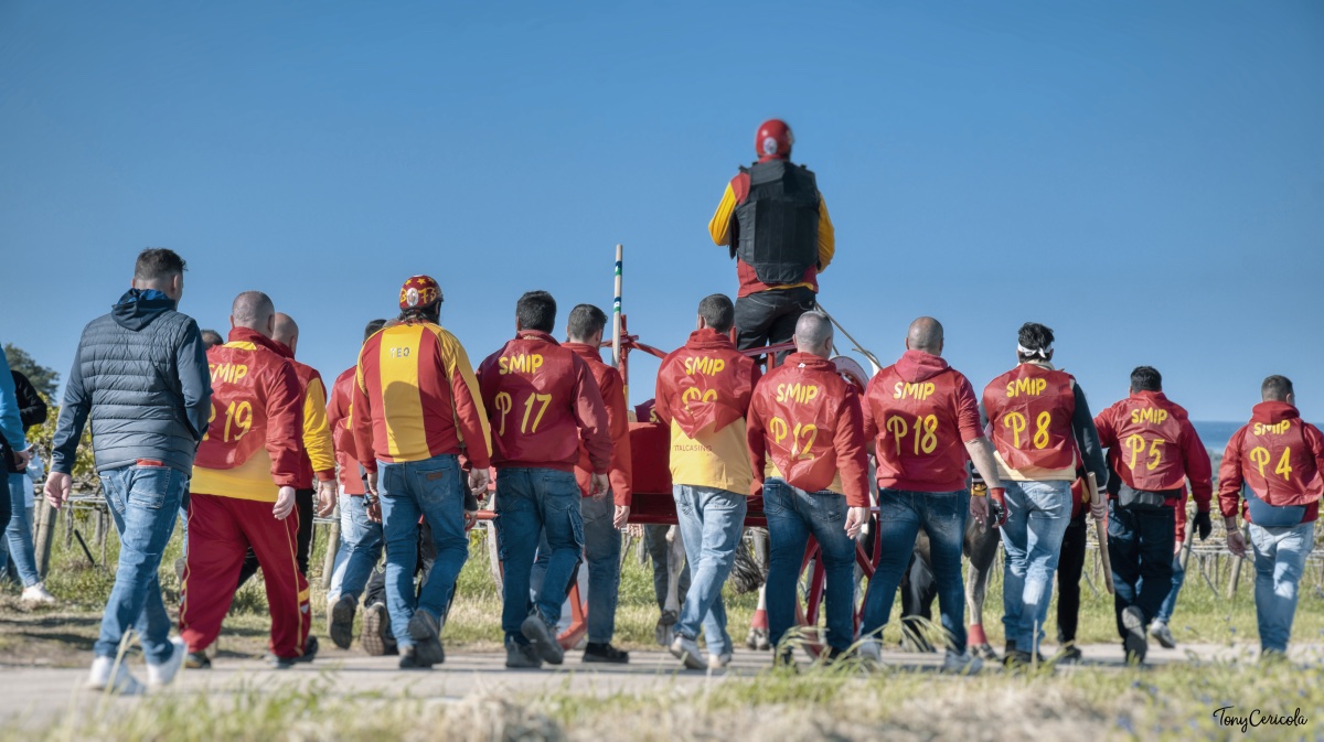 San Martino,Carrese 2026: vincono i Giovanotti | myNews Termoli e Molise